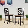 Lark Manor™ Solace 2-Piece Counter Stool Set in Dark Brown and Walnut Brown Finished Wood | Wayfair
